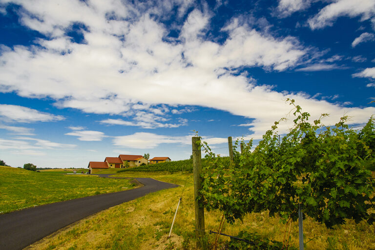 Pepper Bridge Winery - Visit Walla Walla