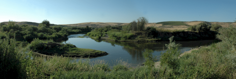 Pierce's Green Valley RV Park & Camping - Visit Walla Walla