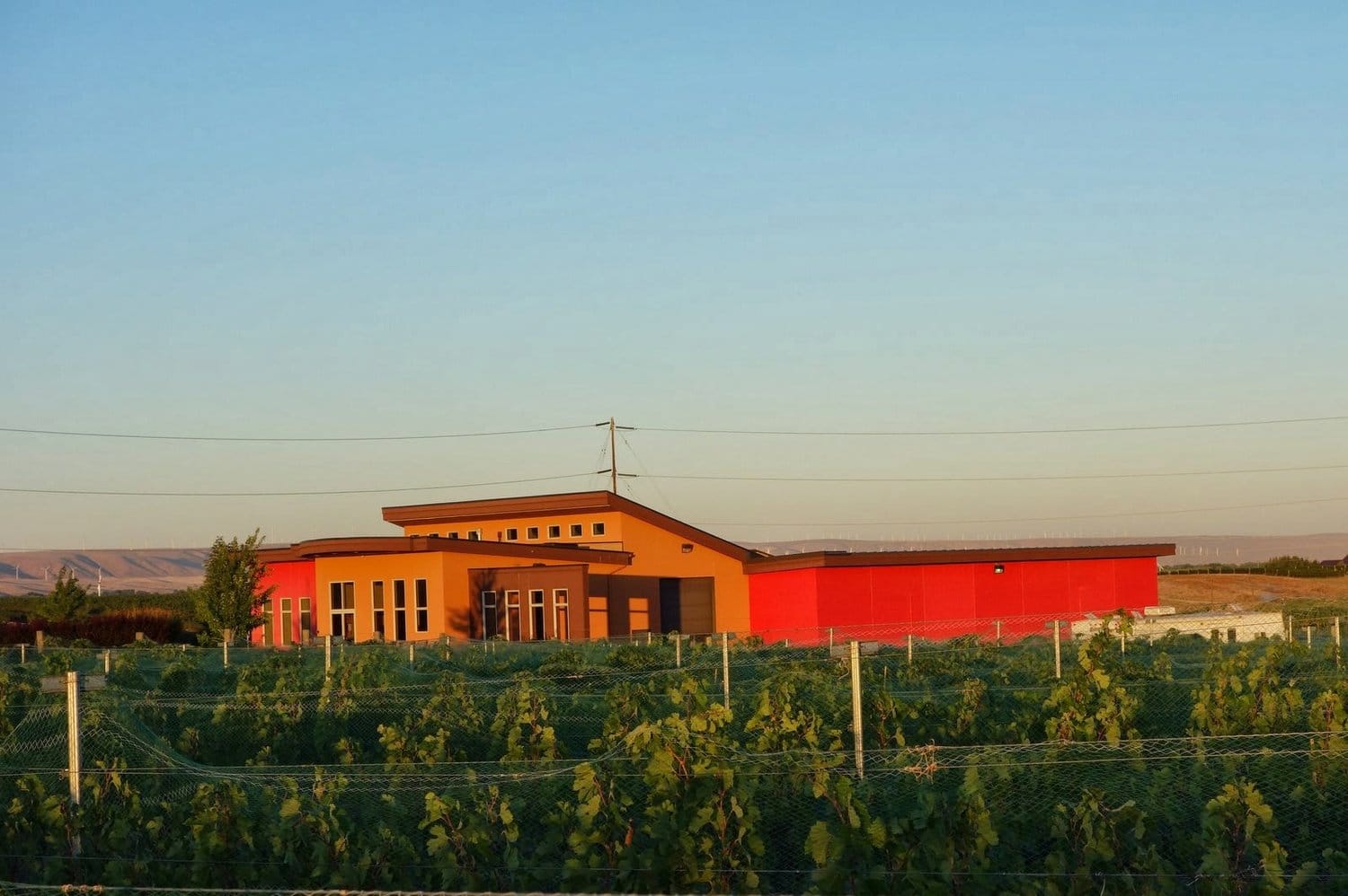 Walla Walla Wine 101 - White Wines - Visit Walla Walla