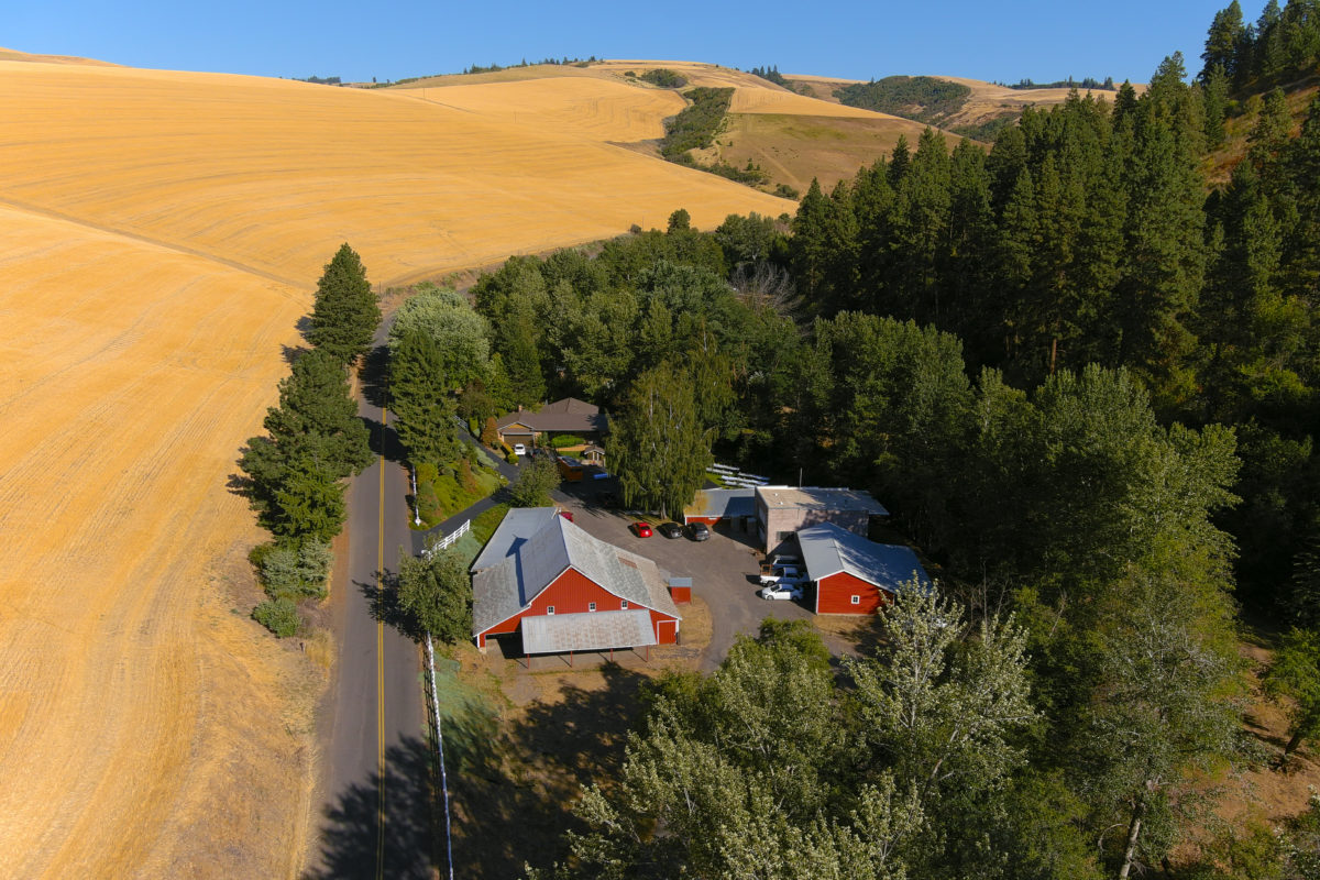 Stella’s Homestead: Heart, History and Hospitality (and Hikes!) in the ...