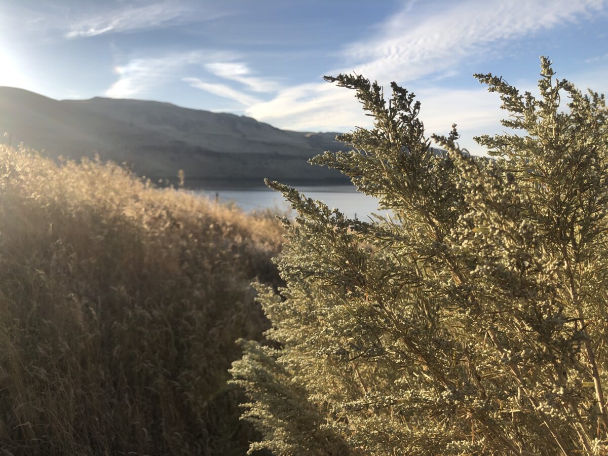 Stopping in Wonder of Wallula - Visit Walla Walla