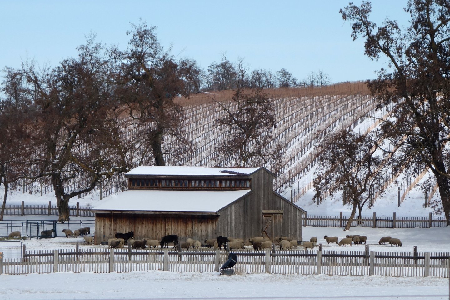 You're on the nice list. Getaway to Walla Walla this holiday season ...