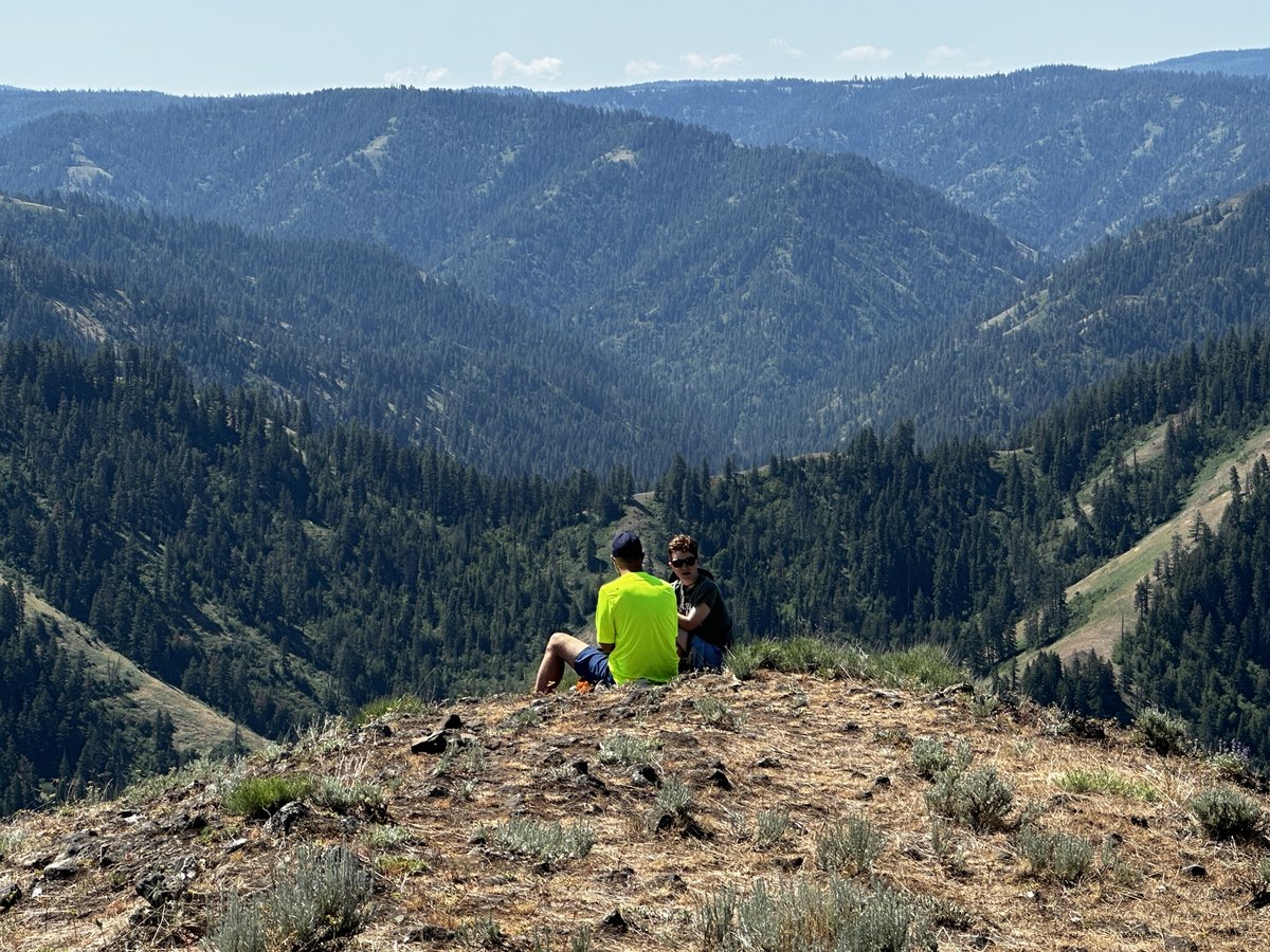 Hiking the Grouse Mountain Trail: The early bird catches the best ...