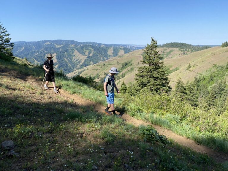 Hiking the Grouse Mountain Trail: The early bird catches the best ...