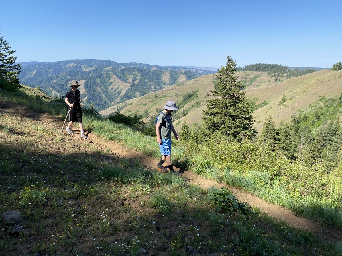 Hiking the Grouse Mountain Trail: The early bird catches the best ...