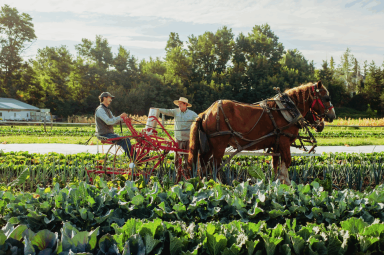 Get your boots dirty at inaugural Tour D’Farm - Visit Walla Walla